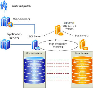 Database Mirror | Netstructure